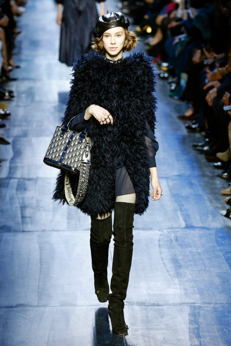 Dior Catwalk Fashion Show Paris Womenswear FW2017 | Team Peter Stigter ...